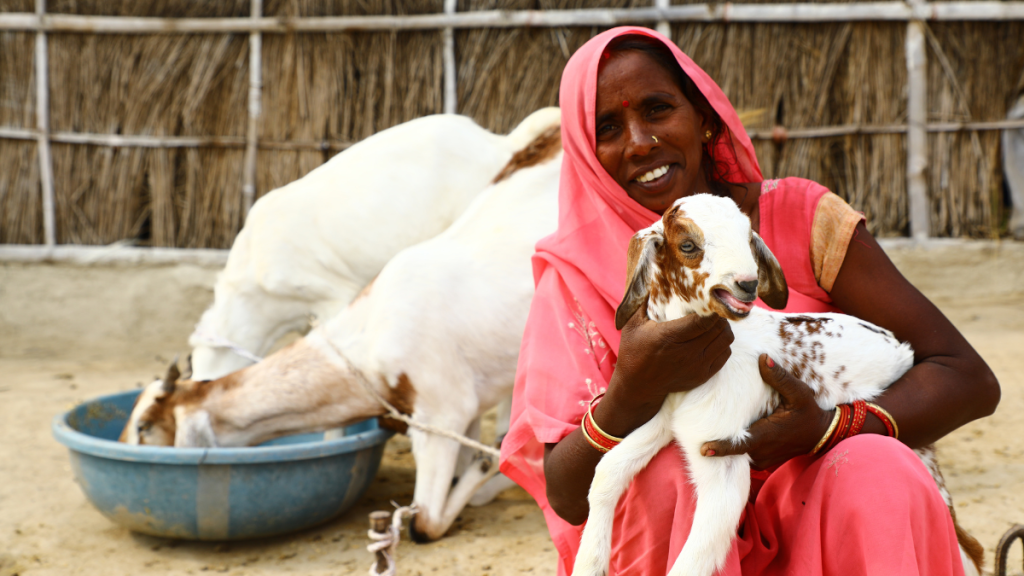 Woman+goat - GALVmed