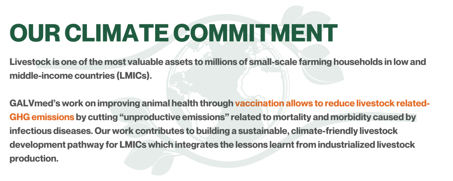 Our approach - GALVmed